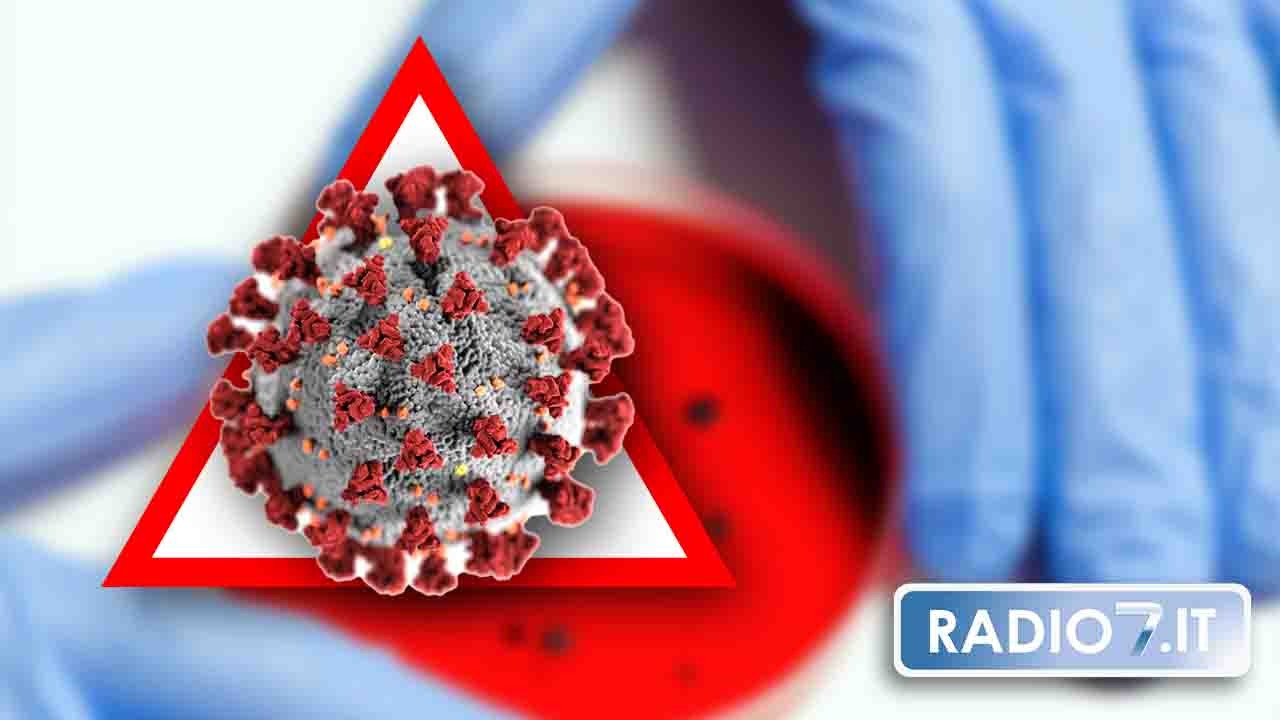 Nuovo virus in arrivo: guai seri per il sistema immunitario - Radio7.it Nuovo virus in arrivo: guai seri per il sistema immunitario - Radio7.it