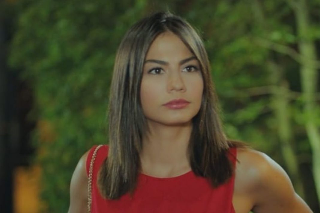 Demet Ozdemir, che fine ha fatto l'attrice? Eccola oggi